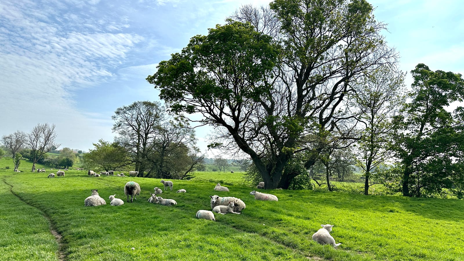 Andy Marshall's Genius Loci Digest: 9 August 2024